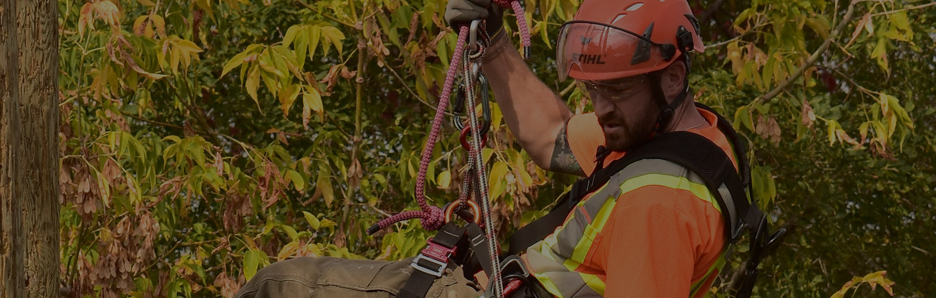 Techniques de travail sur système statique de corde simple - SRT et SRS ...
