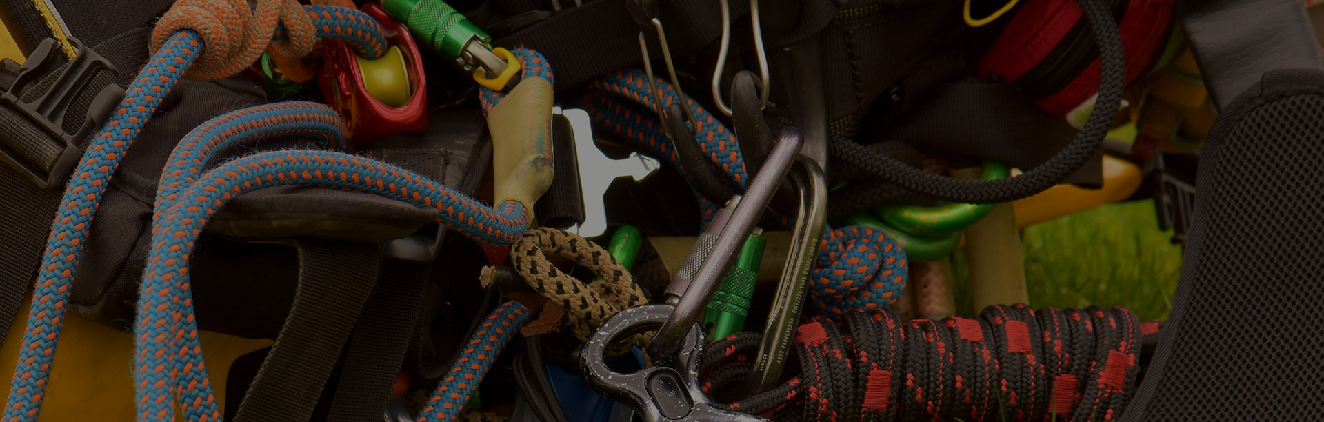 Technique de travail sur corde DDRT - Base - Centre horticole de Laval